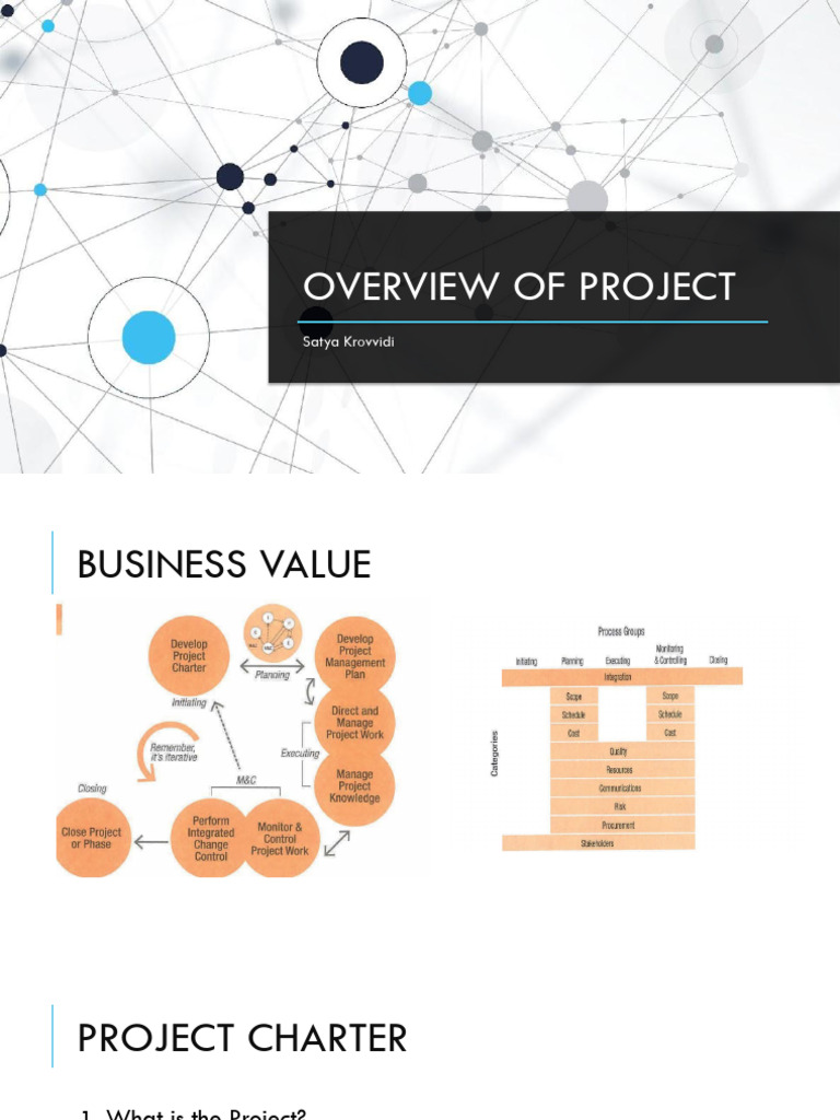 Project Management Overview Guide | PDF