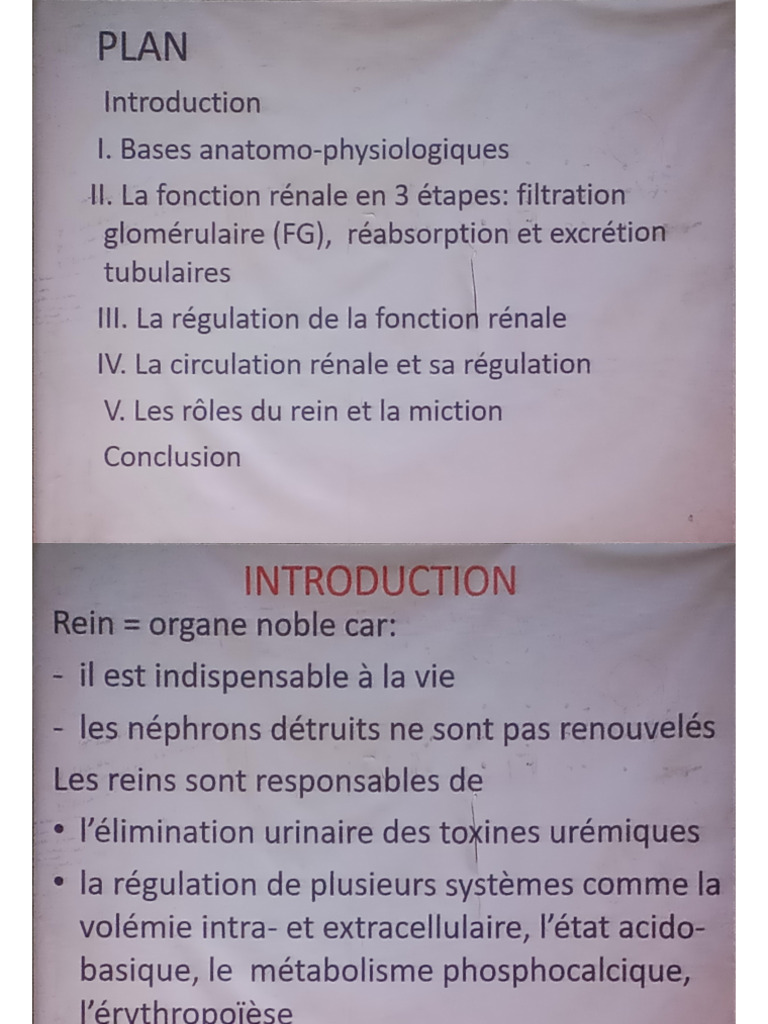 Physiologie Renale Jiab+-1 | PDF