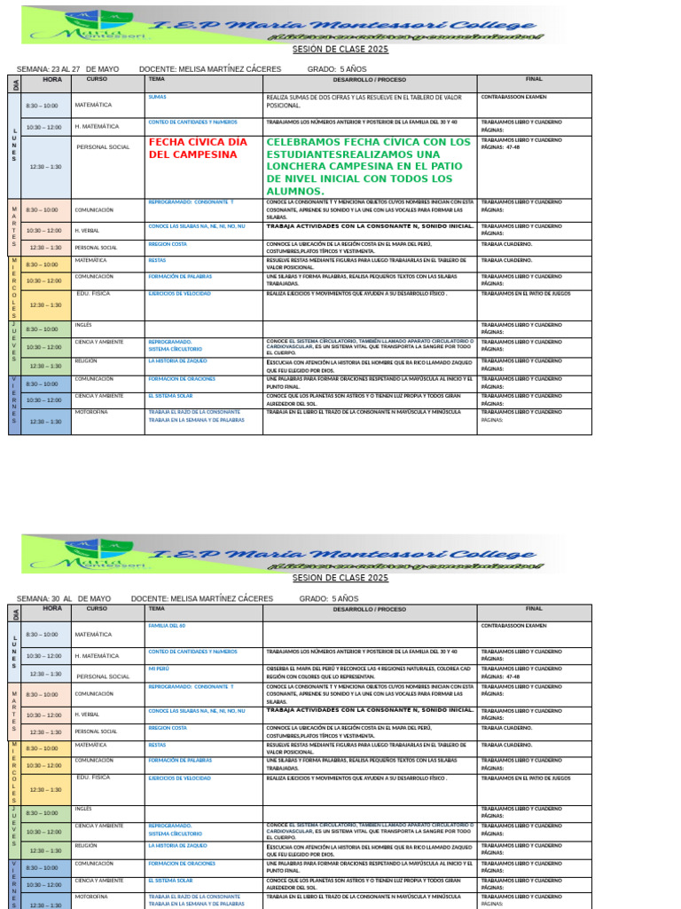 SESIONES MELISA Ultimo-2 | PDF | Sistema circulatorio