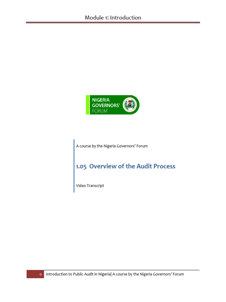 Overview of The Audit Process | PDF | Audit | Business