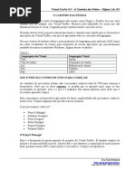 Rave Report No Delphi | PDF | Software de sistema | Programas