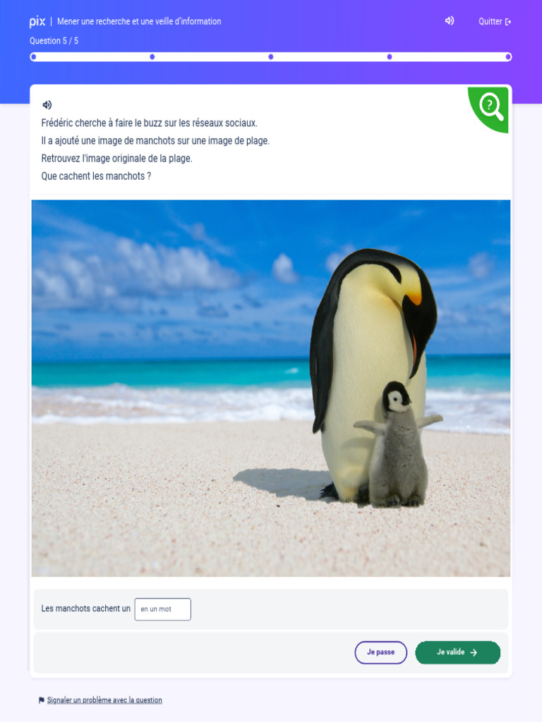 Mode Libre - Question 5 Sur 5 Mener Une Recherche Et Une Veille D'information Pix | PDF