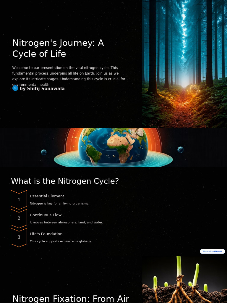 Nitrogens Journey A Cycle of Life | PDF | Nitrate | Nitrogen