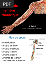 Angiologie Systeme Vasculaire Du Membre Superieur | PDF | Main ...