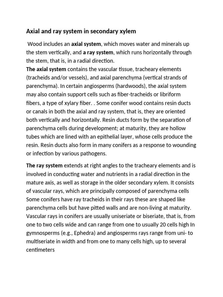 Axial and Rays in Xylem | PDF