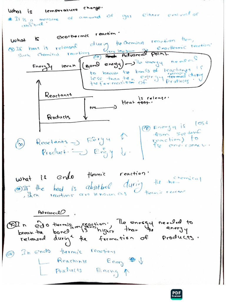 ACE Scanner - 2025 - 07 - 01 | PDF