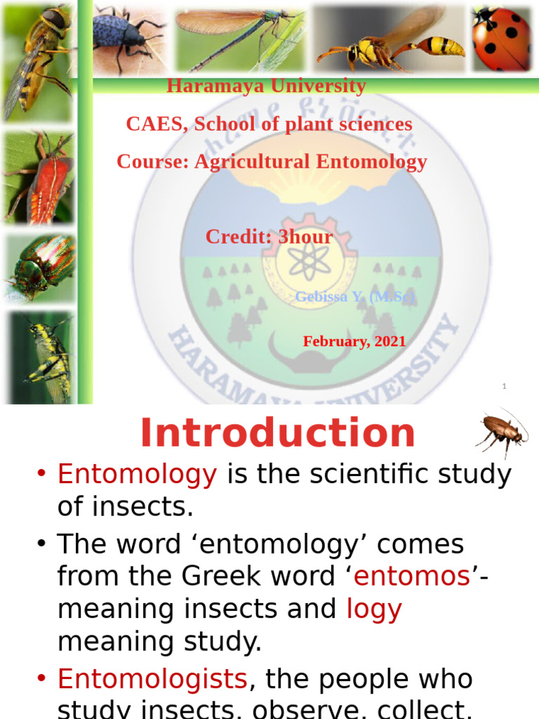 Agricultural Entomology Overview | PDF | Eye | Insects