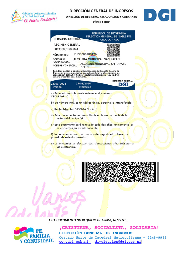 Descarga (Cedula Ruc - Alcaldia San Rafael Del Sur250624) | PDF