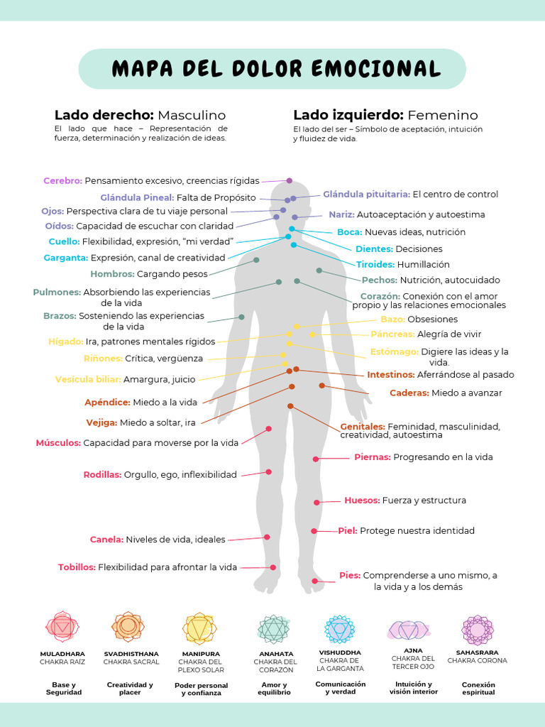 Mapa de Dolores y Emociones en el Cuerpo | PDF | Autoestima | Órgano ...