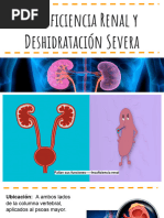 Oliguria y Anuria: Definición y Causas | PDF | Riñón | Especialidades ...