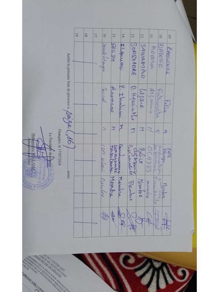 PFD Created 1737055762119 | PDF