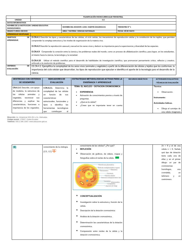 Planificacion 10mo - CCNN - 1er - Trimestre | PDF | Reproducción | Mitosis