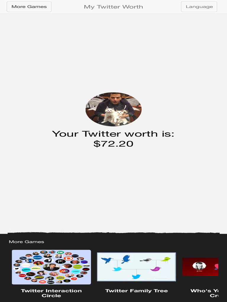 My Twitter Worth | PDF