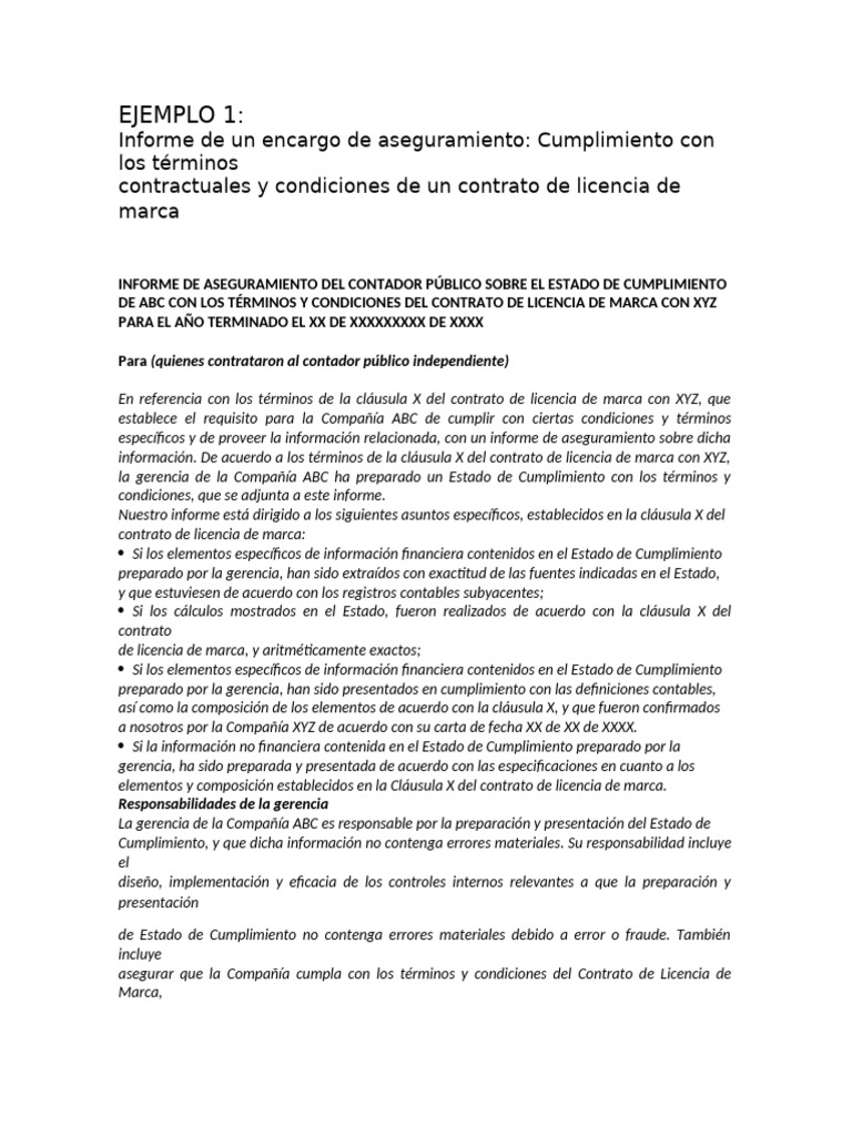 Guia Niea 3000-2018-2022 | PDF | Auditoría | Contador