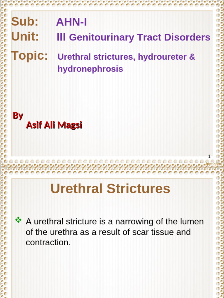 Lect 18 Unit III Urethral Strictures, Hydroureter & Hydronephrosis-1 | PDF | Urology | Medical ...