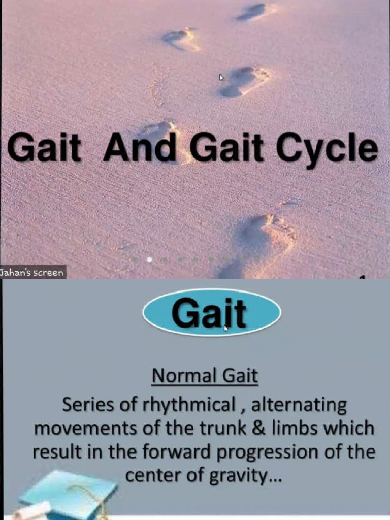 GAIT CYCLE Kinetics and Kinematics | PDF