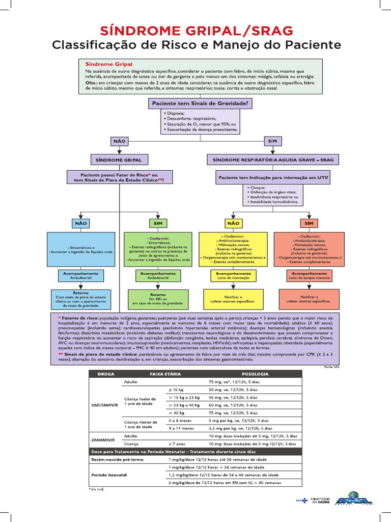 SRAG | PDF