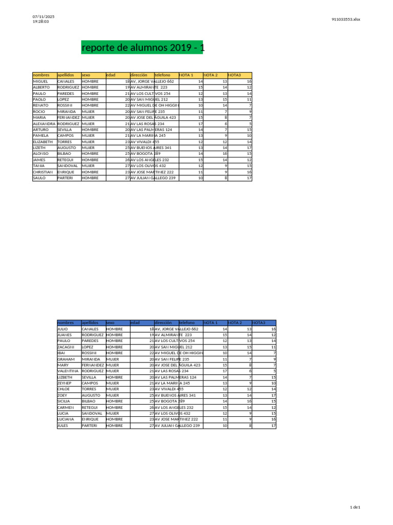 Reporte de Alumnos 2019 - Notas y Datos | PDF
