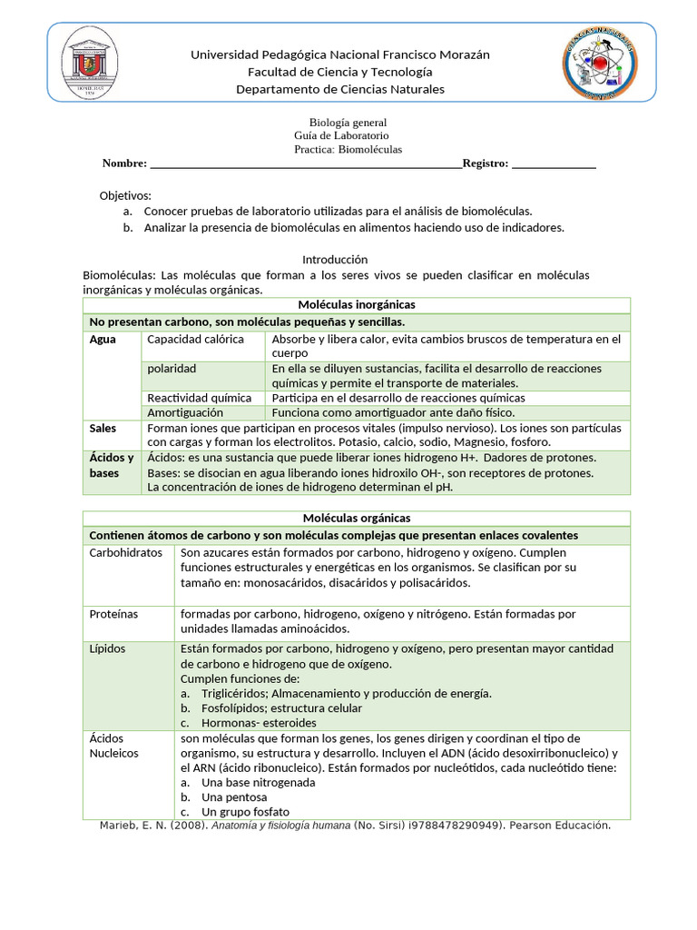 Guia Act Biomoleculas | PDF | Biomoléculas | Moléculas