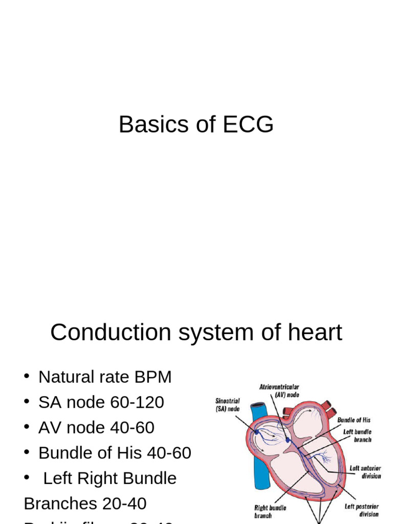 Basics of ECG | PDF