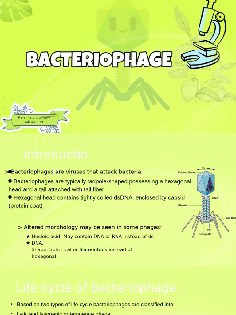 Bacteriophage | PDF