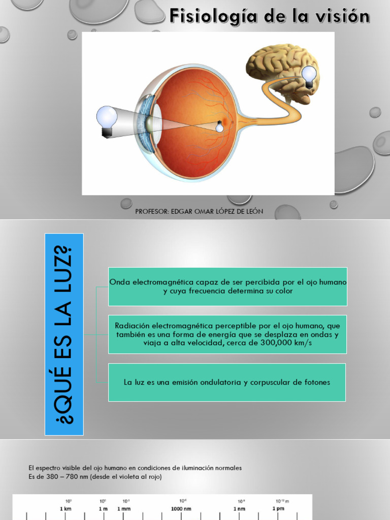 Fisiología de la Visión y Errores Refractivos | PDF | Percepción visual ...