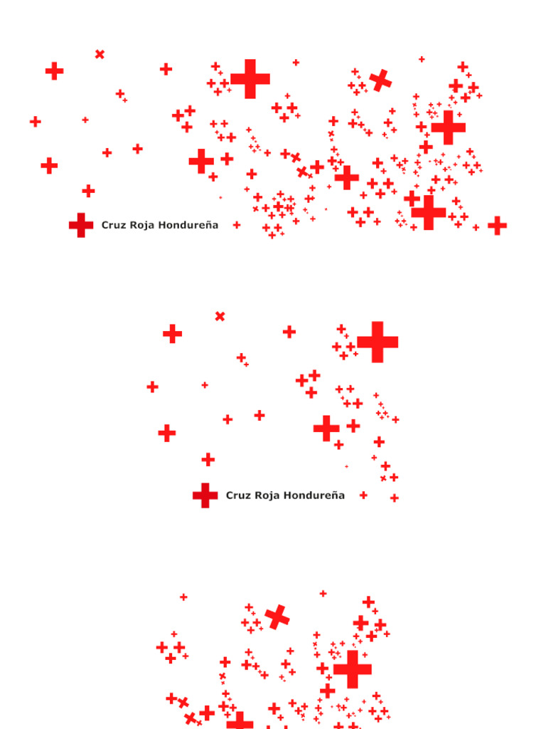 Red Cross | PDF