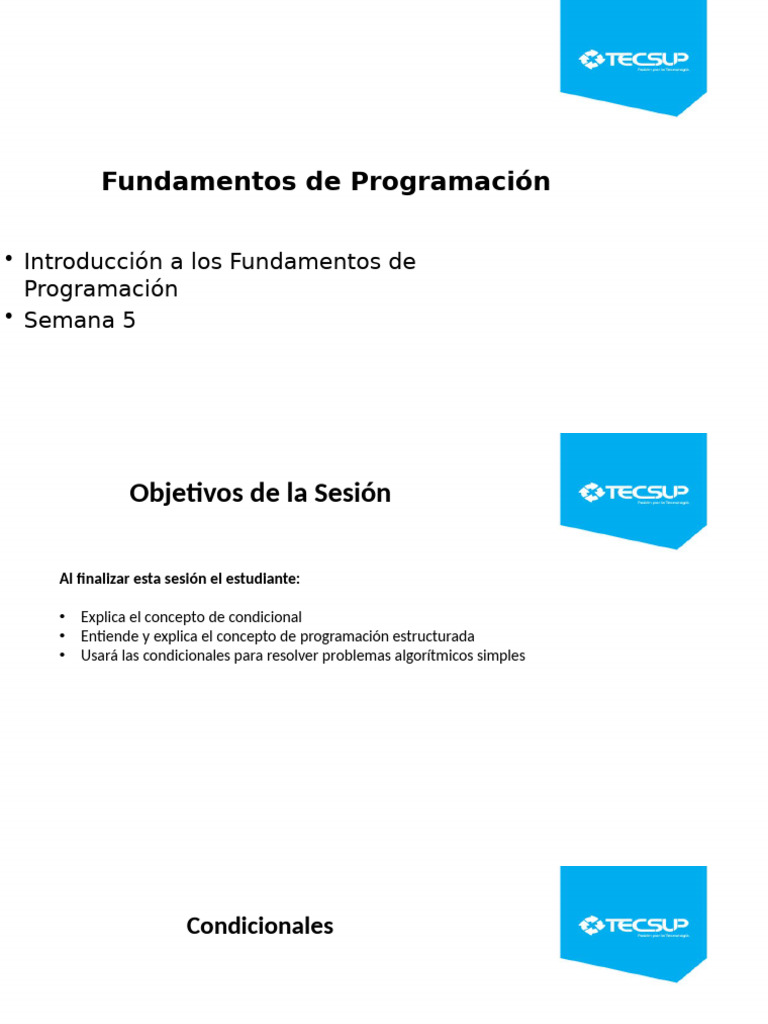 Fundamentos de Programación en Python 5 | PDF | Programación de computadoras | Python (lenguaje ...