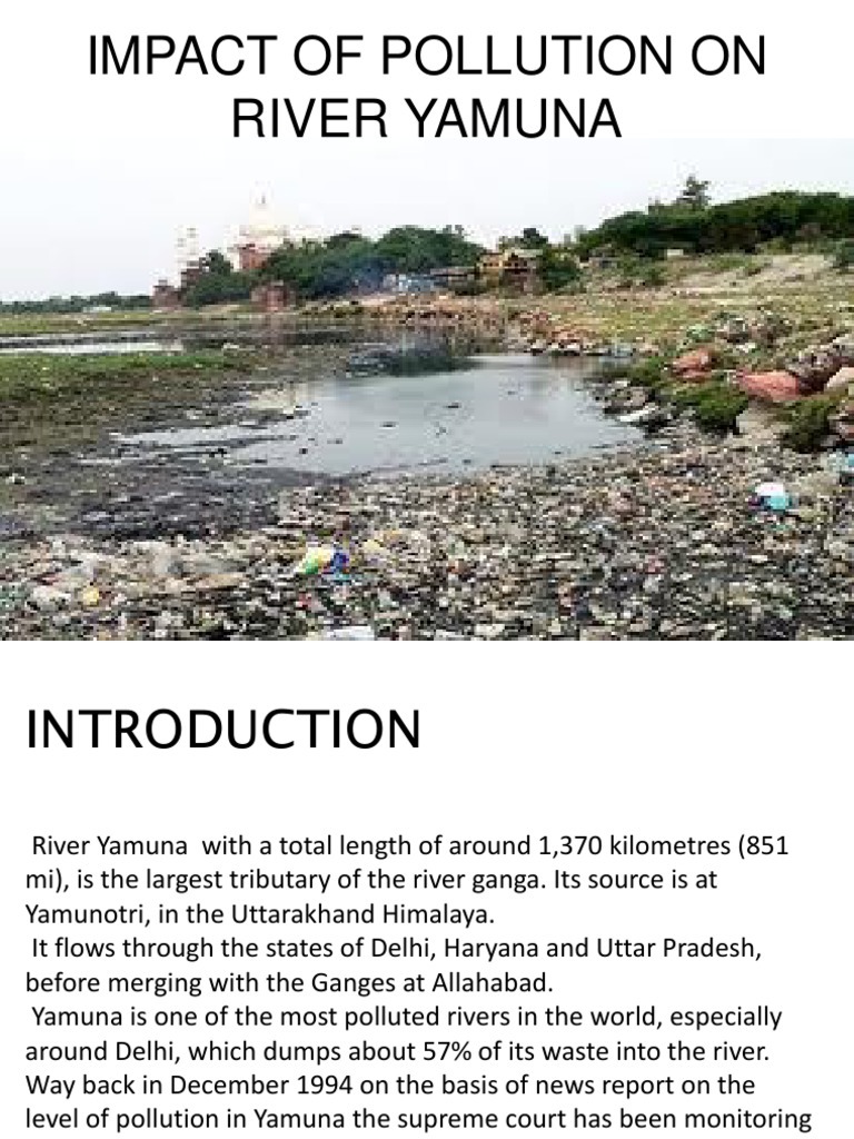 Causes Of Yamuna River Pollution