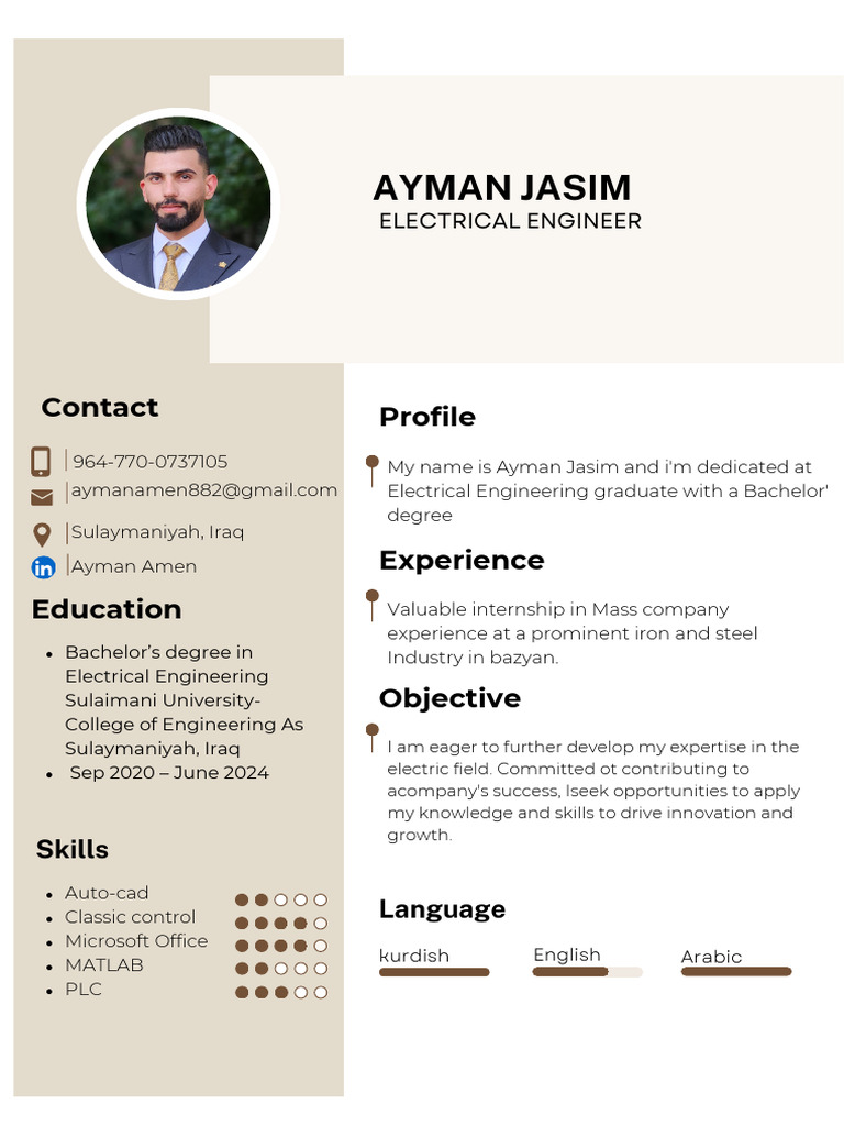 Ayman's CV | PDF
