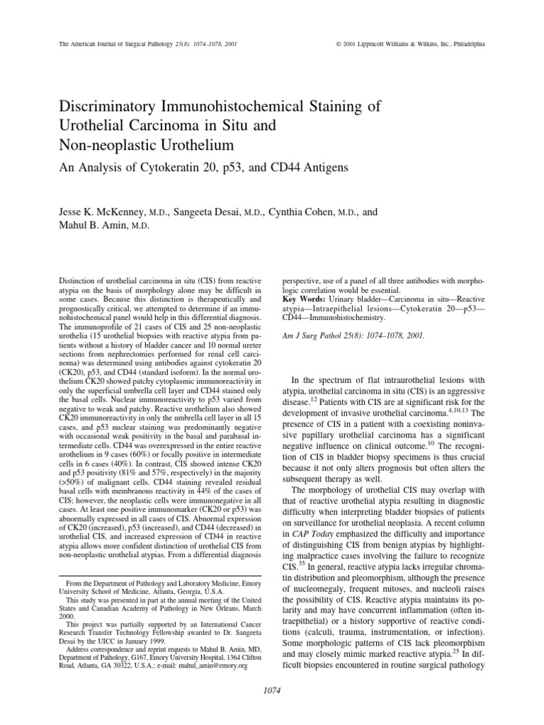 2001 - Mckenney - Discriminatory Immunohistochemical Staining of Urothelial Carcinoma in Situ ...