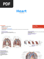 Anatomy Heart Cadaver | PDF | Heart Valve | Coronary Circulation