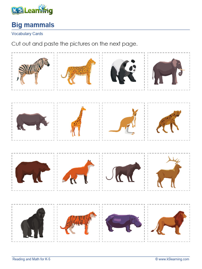 Vocabulary Cards - Big Mammals | PDF