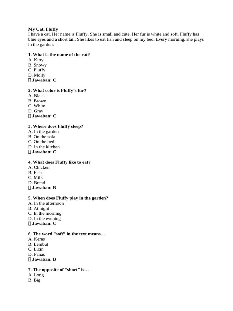 My Cat | PDF