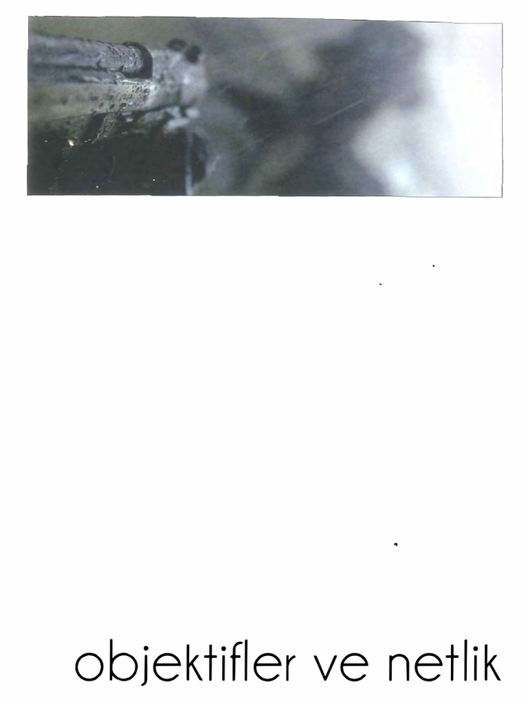 Brown Blain - Objektifler | PDF