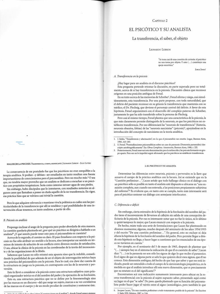 Leibson Maldecir La Psicosis Caps 2 y 4 1 | PDF