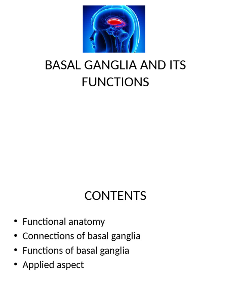 Basal Ganglia and Its Functions New | PDF | Basal Ganglia | Striatum