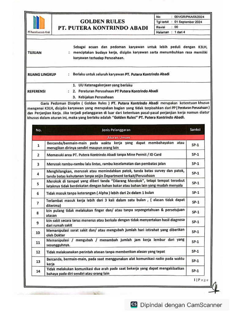 Golden Rules-PKA | PDF