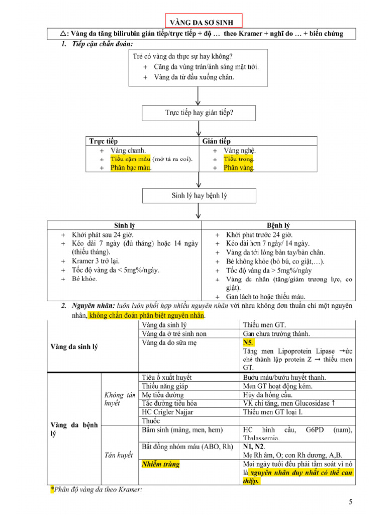 CĐ VDSS | PDF
