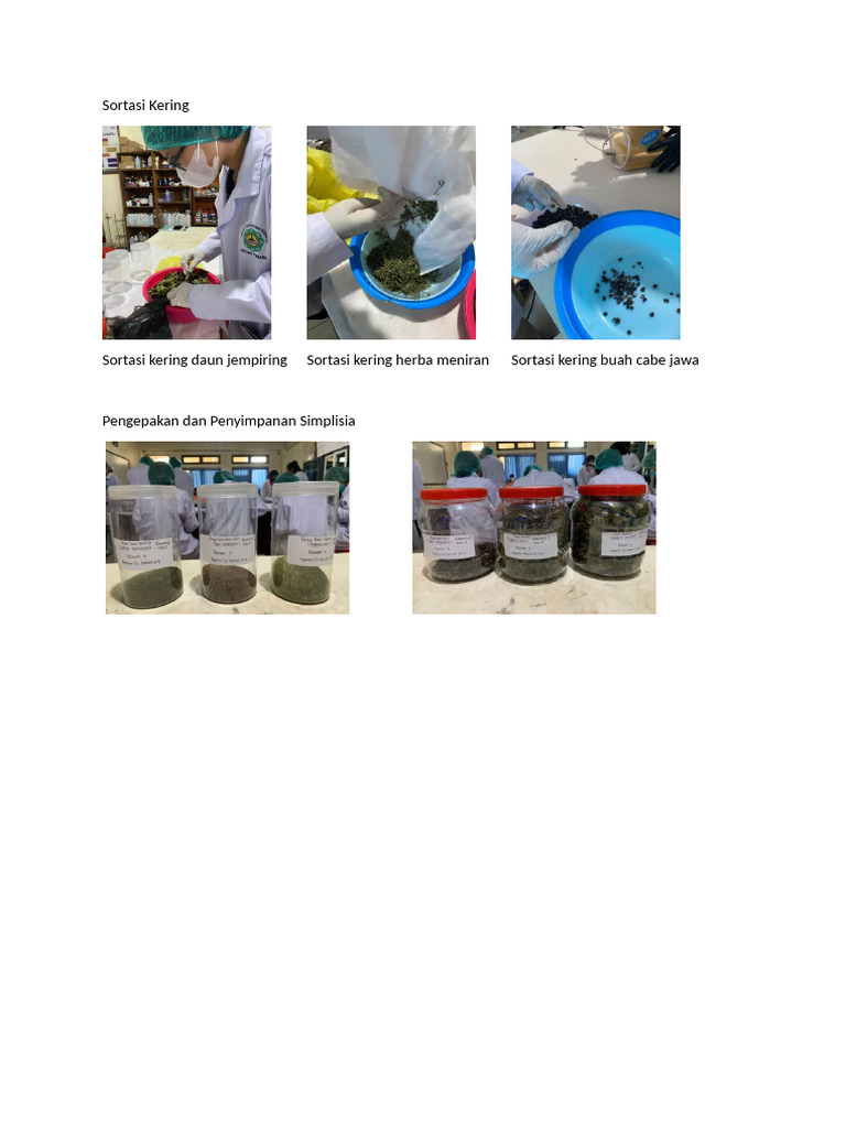 Dokumentasi Prak 2 | PDF