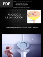 Reflejo de Micción y su Fisiología | PDF | Micción | Vejiga urinaria