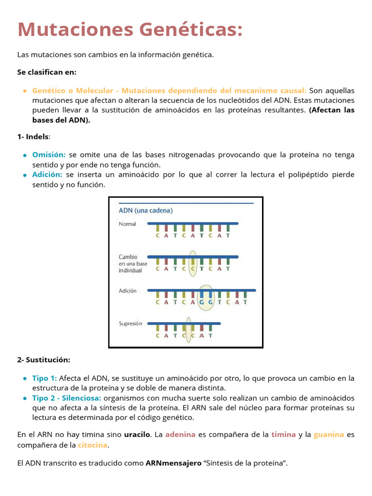 Mutaciones Genéticas | PDF | Mutación | Adn
