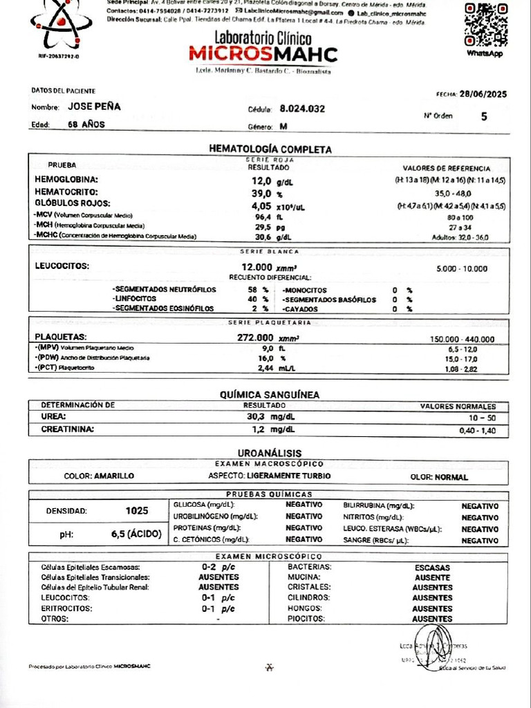 PDFReader 20250628 1418 | PDF