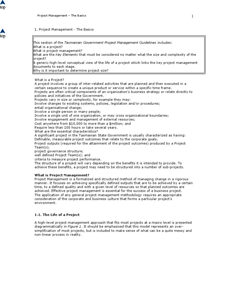 1 (1) - Project Management The Basics | PDF | Project Management ...