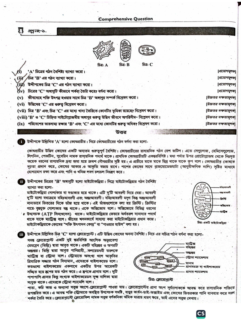 Biology Chapter 2 Comprehensive Questions | PDF