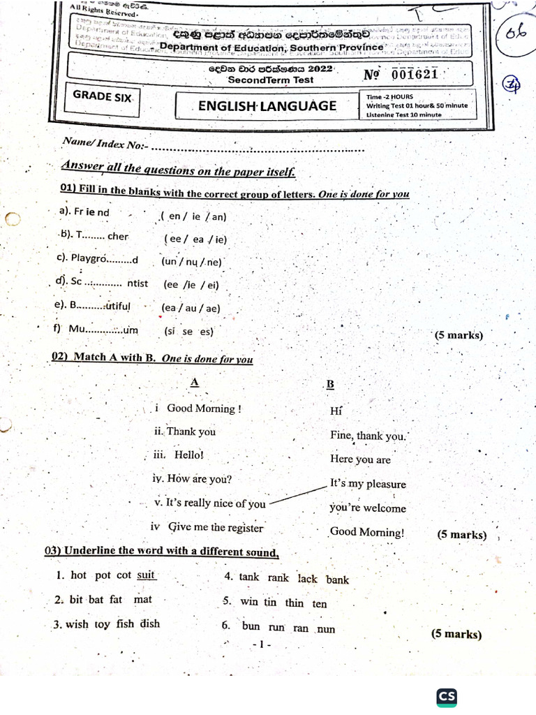 Grade 6 2022 2nd Term. English | PDF