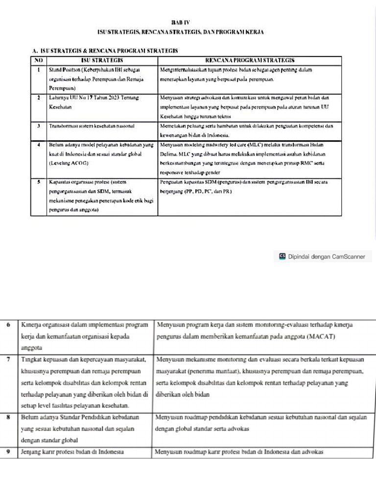 Renstra IBI 2023-2028 | PDF