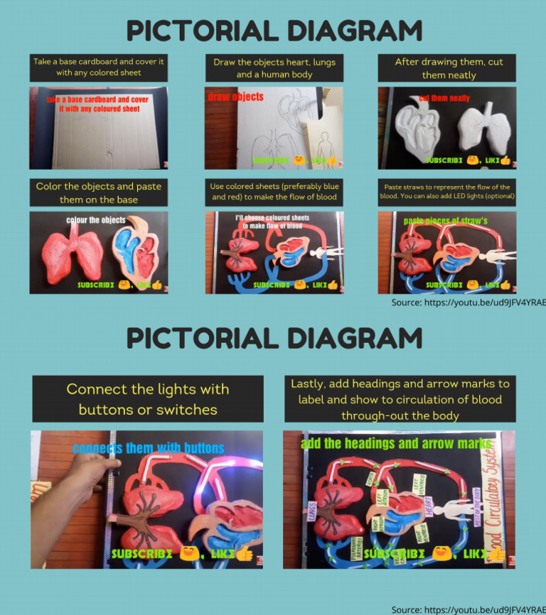 Pictorial Diagram PDF | PDF