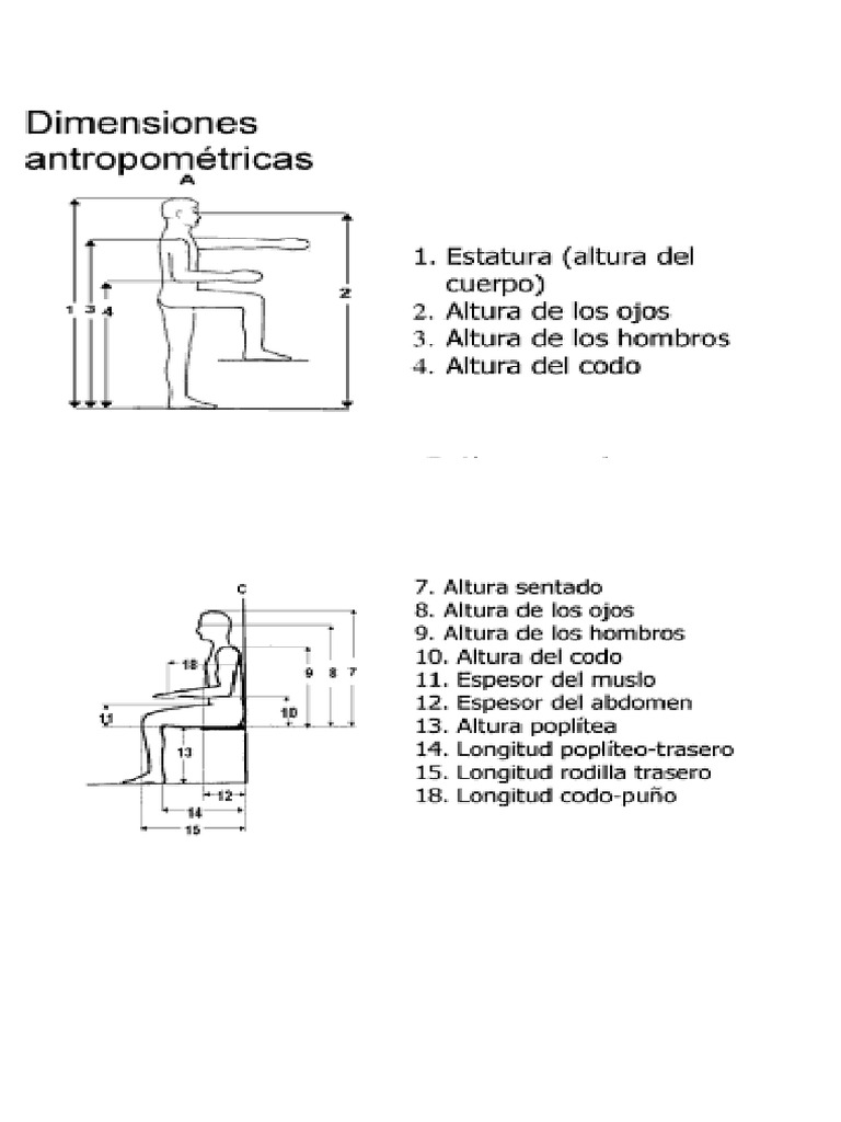 Plantilla Antropometrica | PDF
