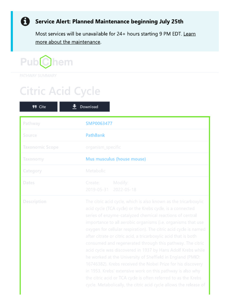 Citric Acid | PDF